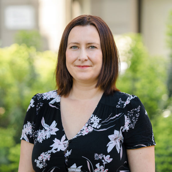 Our Board – Bridge It