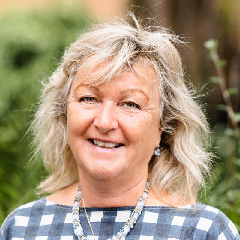 Our Board – Bridge It